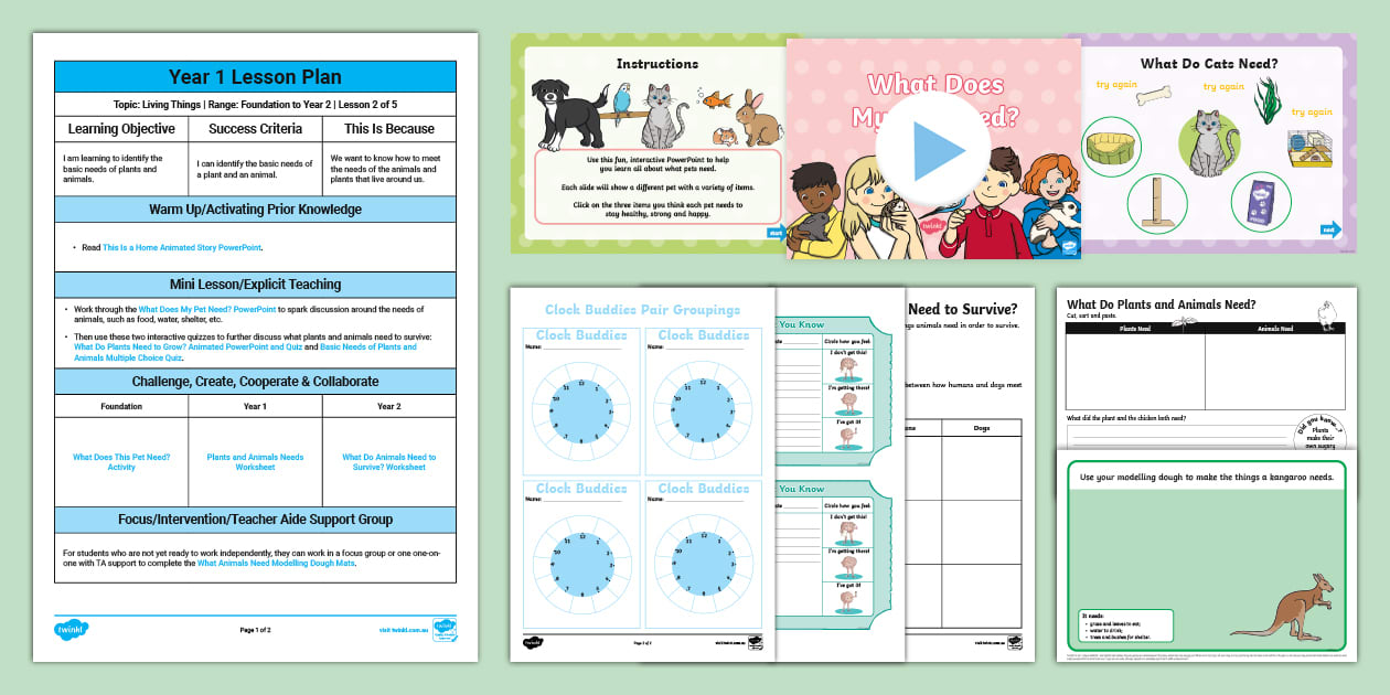Year 1 Inclusion Living Things Differentiated Lesson Plan 2