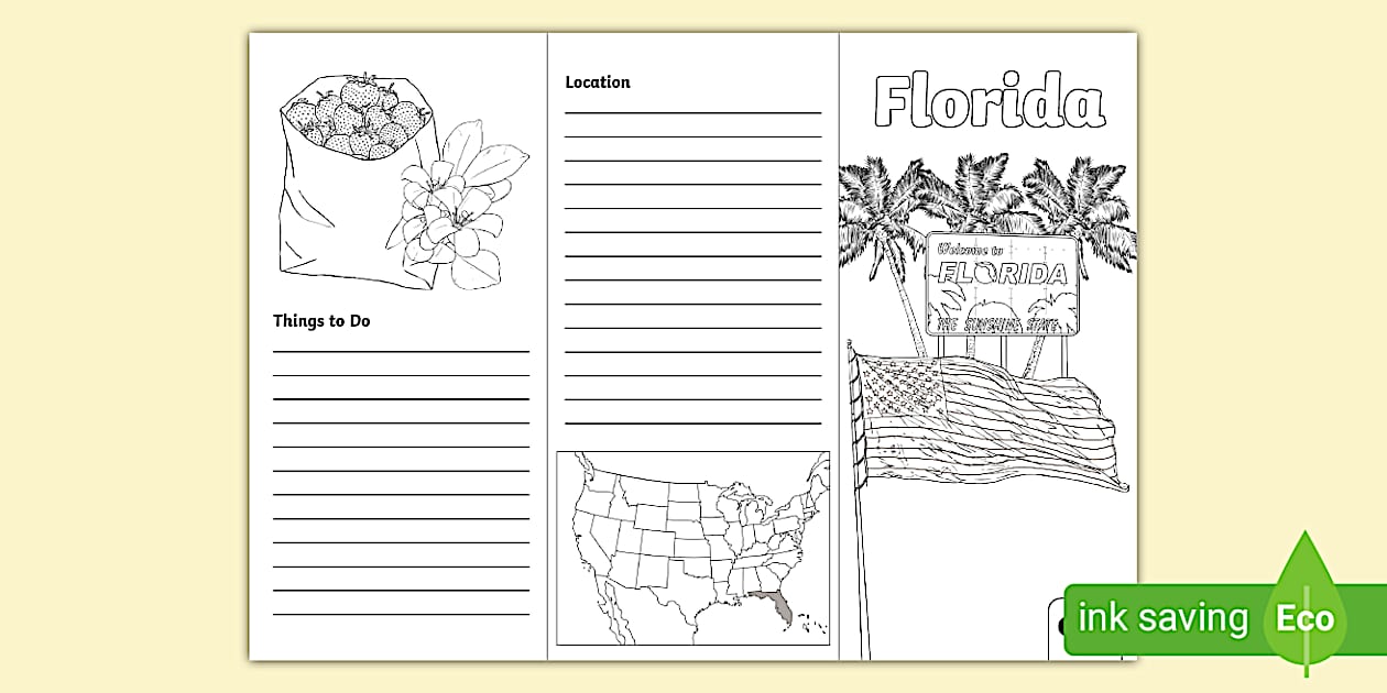 KS2 Florida Leaflet Template,Florida (teacher made) - Twinkl