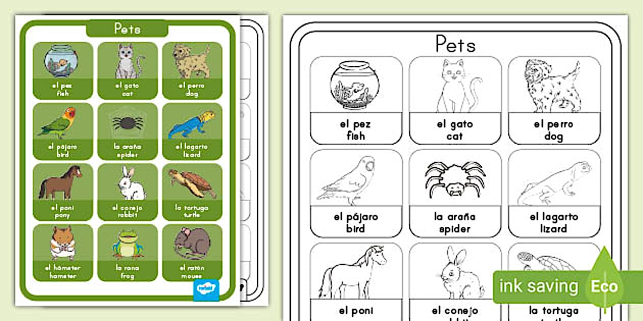 Pets in English/Spanish Poster (teacher made) - Twinkl