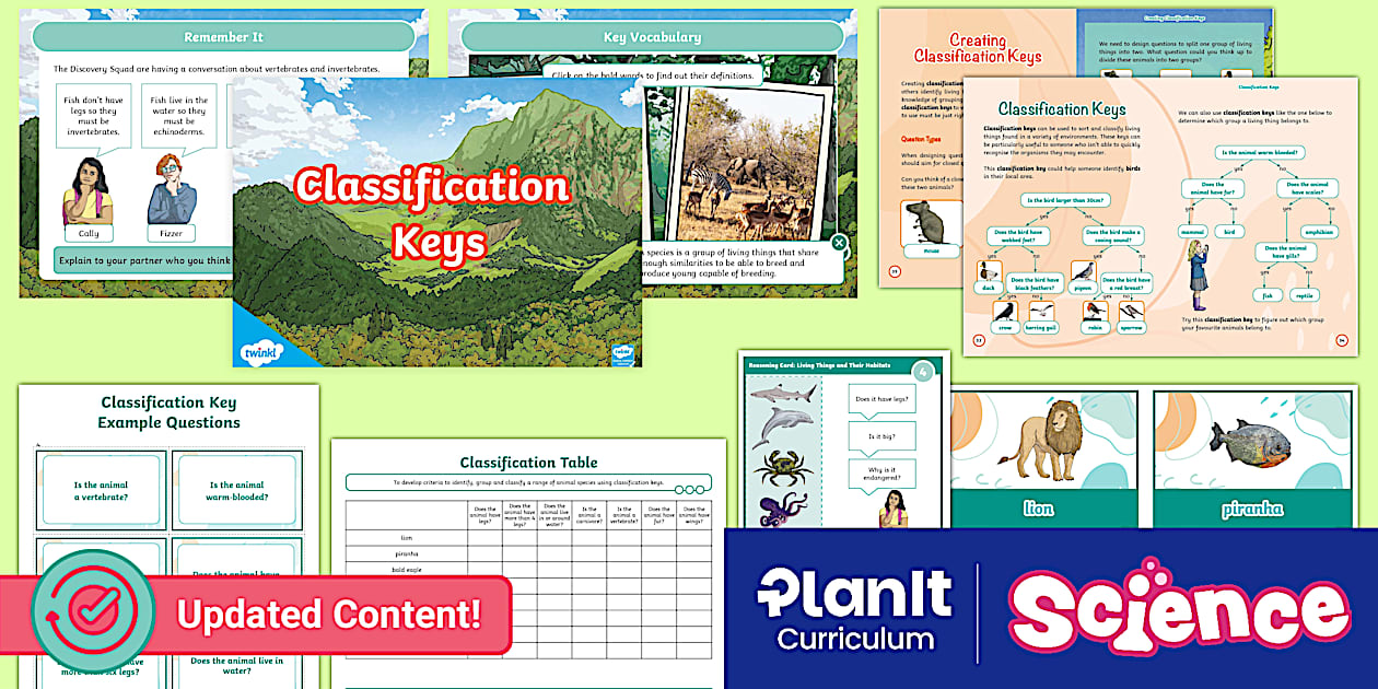 Science: LTaTH: Classification Keys Year 4 Lesson 4 - Twinkl