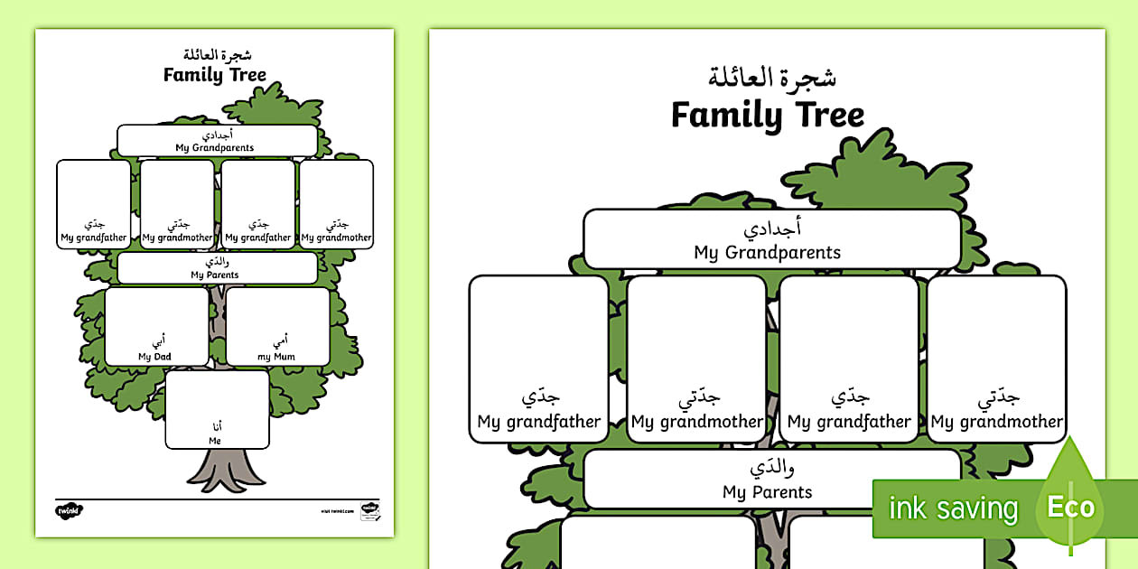 Family Tree Write Up Worksheet Arabic/English - Twinkl