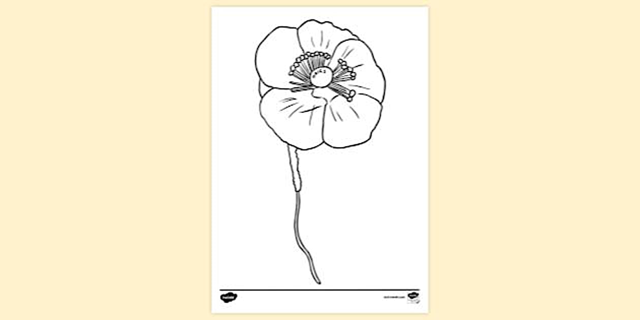 Poppy Colouring | Colouring Sheets (teacher made) - Twinkl