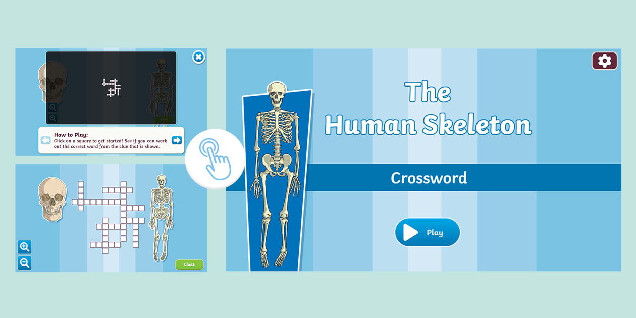 The Human Skeleton Interactive Crossword - Twinkl - KS2