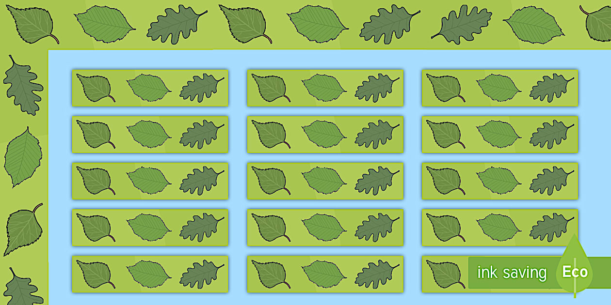 Outdoor Learning Display Borders (teacher made) - Twinkl