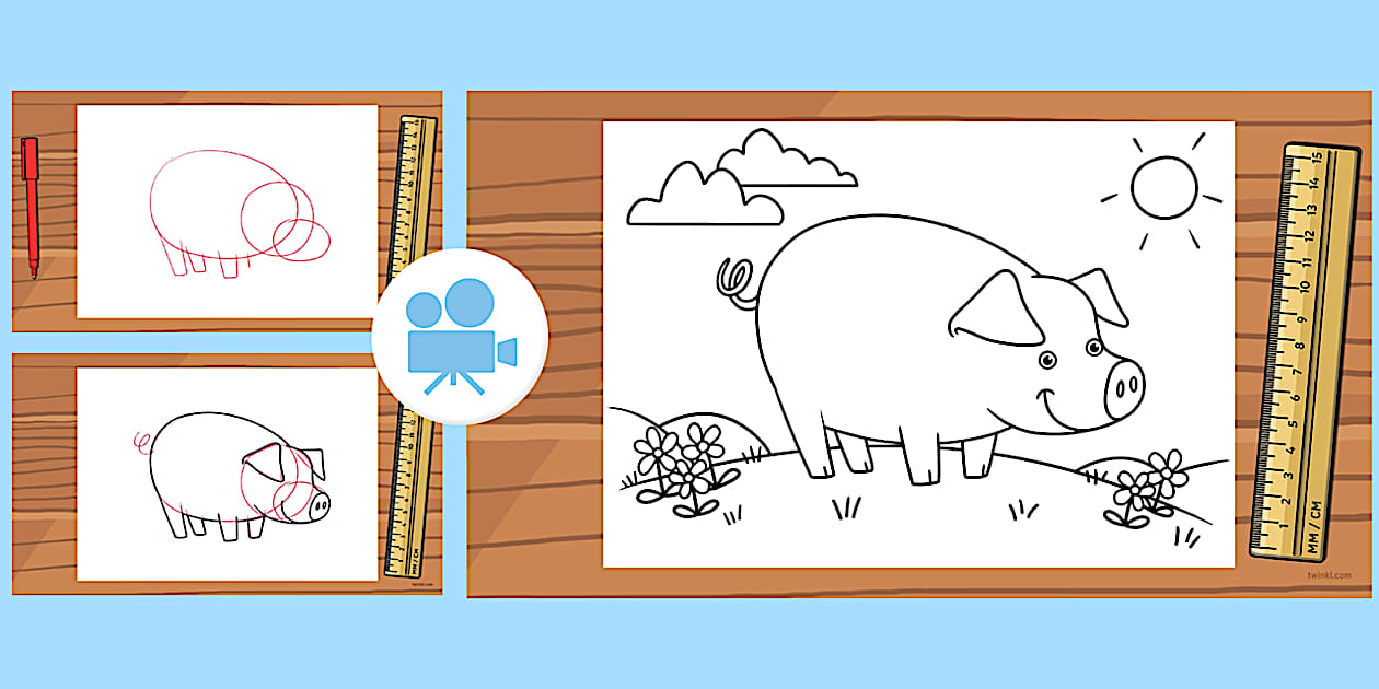 How to Draw a Pig Animation | Twinkl Go - Twinkl