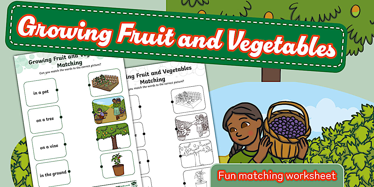 Growing Fruit and Vegetables Matching Worksheet