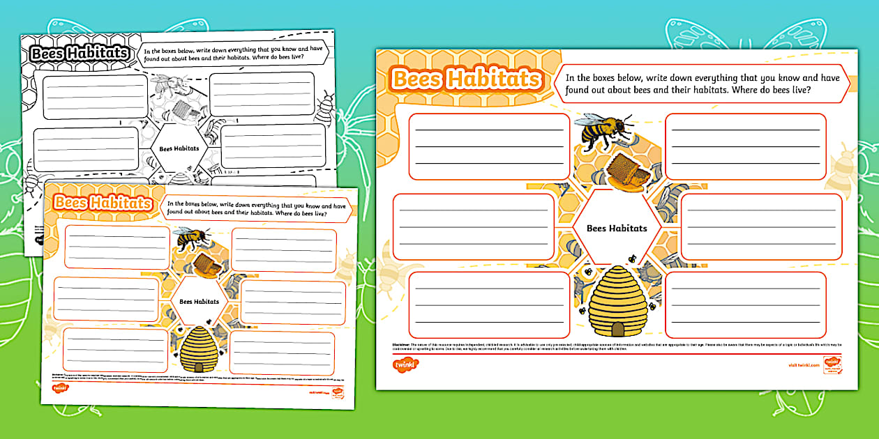 Bee Habitats Mind Map (teacher made) - Twinkl