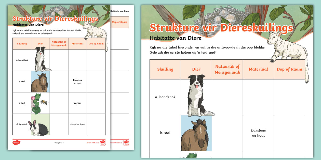 Strukture vir Diereskuilings - Voltooi die Tabel - Twinkl
