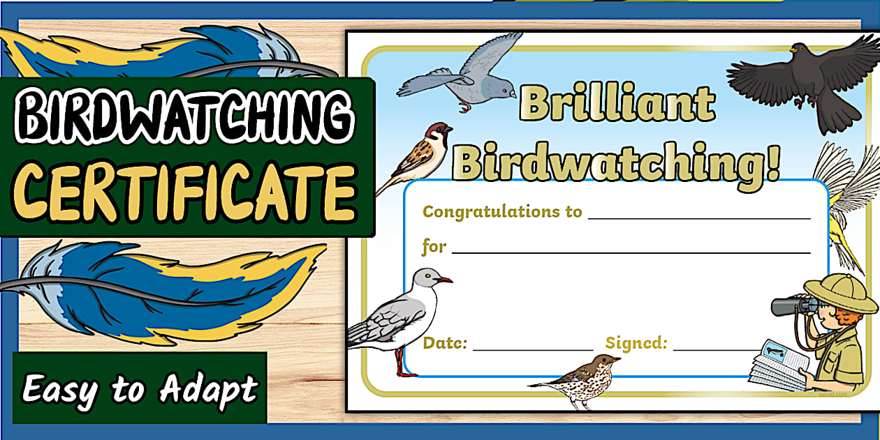 Birdwatching Certificate
