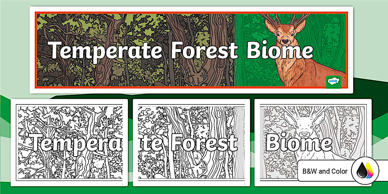 Temperate Forest Biome Banner (teacher made) - Twinkl