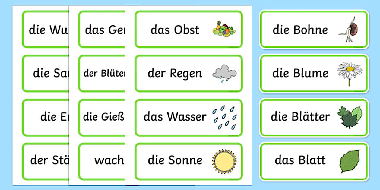 Cursive Growth Topic Word Cards German (teacher made)