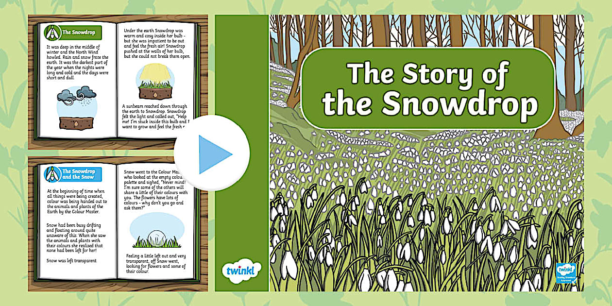 The Story of the Snowdrop PowerPoint (Teacher-Made) - Twinkl