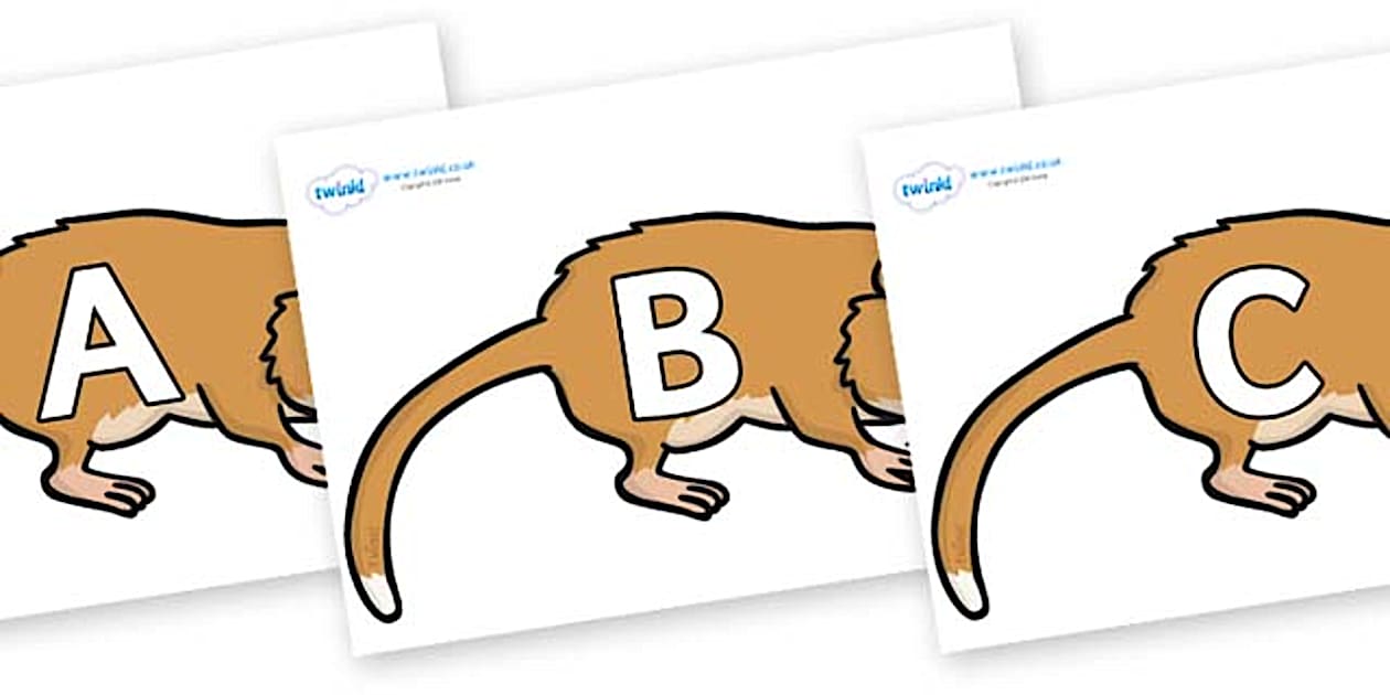 A-Z Alphabet on Hamsters (l'enseignant a fait) - Twinkl