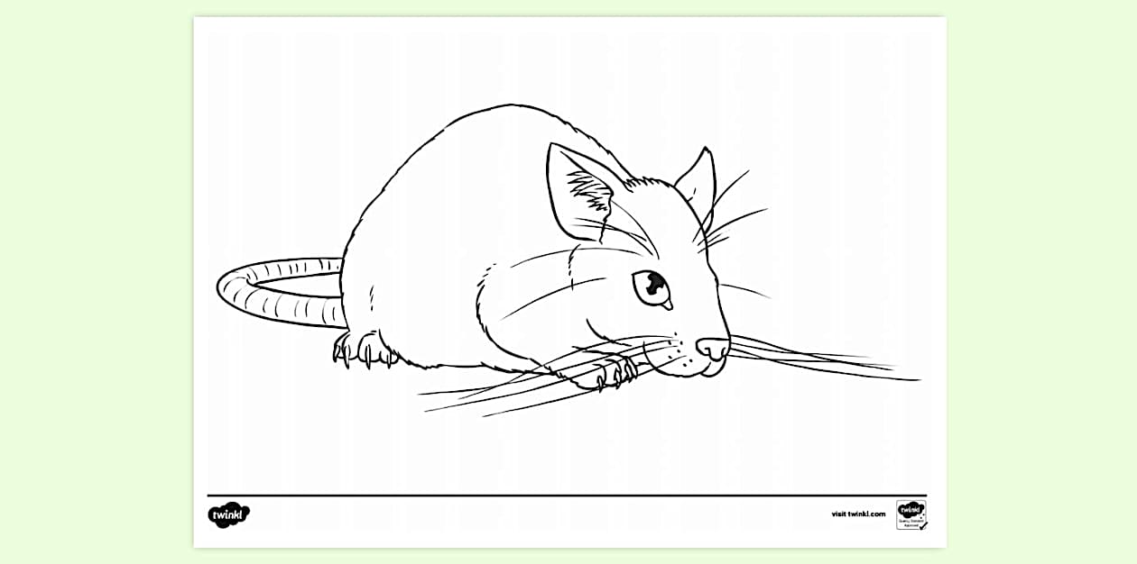 Mouskin Colouring Sheet | Colouring Sheets (teacher made)