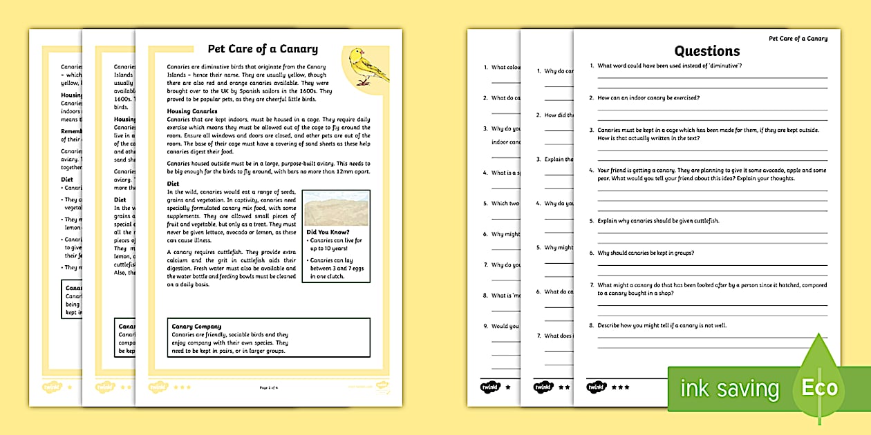 Pet Care of a Canary Differentiated Reading Comprehension Activity