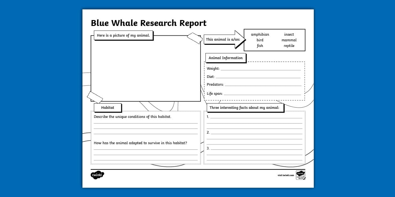 Blue Whale Research Report for 3rd-5th Grade - Twinkl