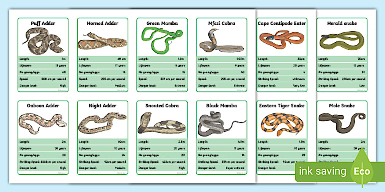 Top Card Game - South African Snakes (teacher made) - Twinkl