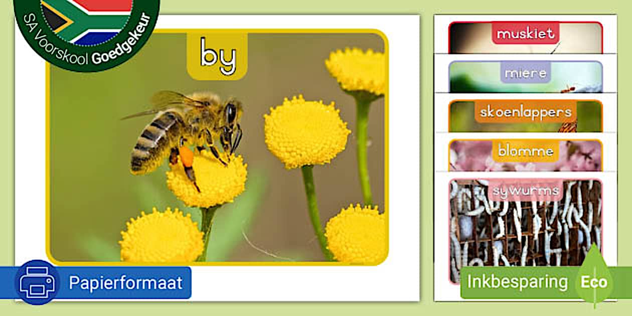 Insekte en Tuingoggas: Vertoonfoto's (teacher made) - Twinkl