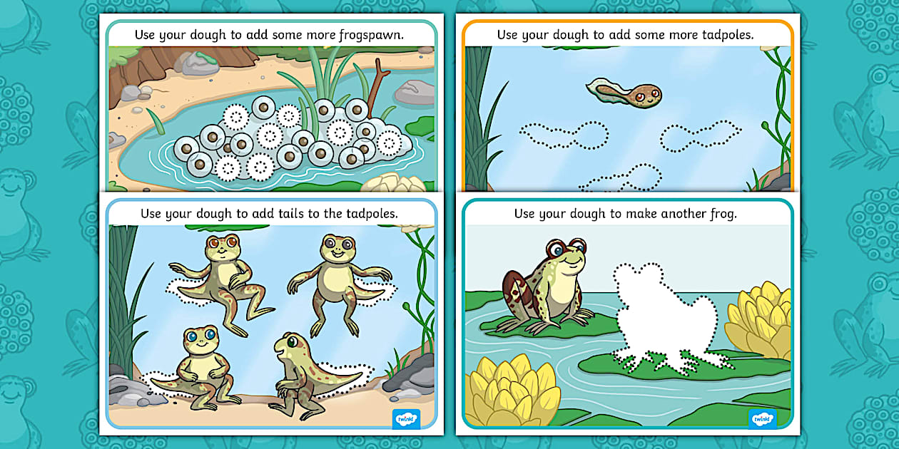 Frog Life Cycle Modelling Dough Mats - Twinkl