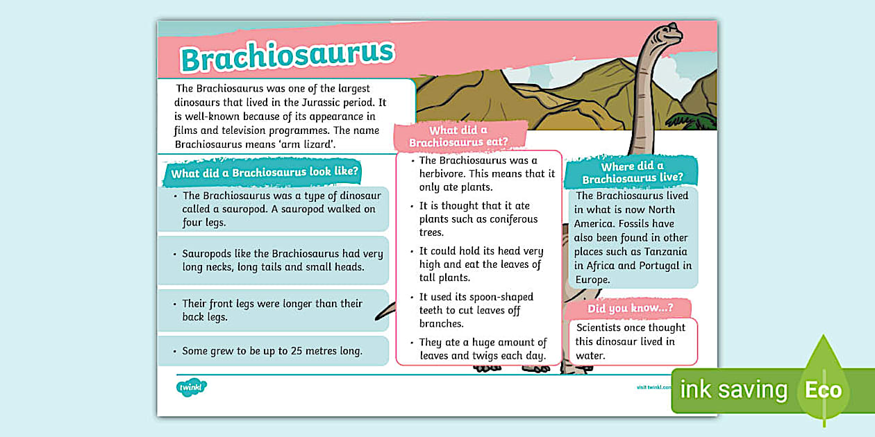 Brachiosaurus Fact File - Dinosaurs - KS1 (teacher made)