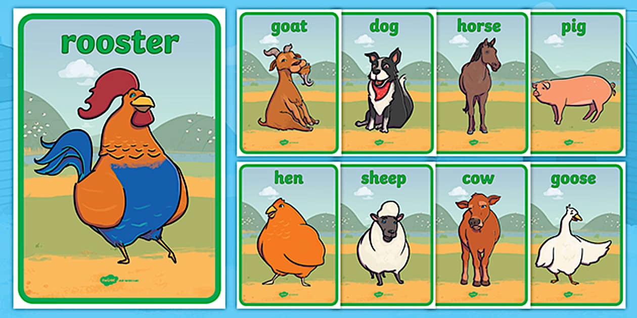 Editable Farm Animal Posters (Hecho por educadores) - Twinkl