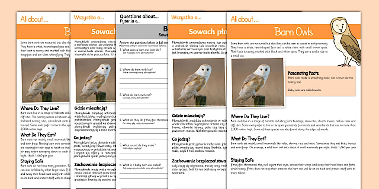 Lower Ability Barn Owls Reading Comprehension Polish/English