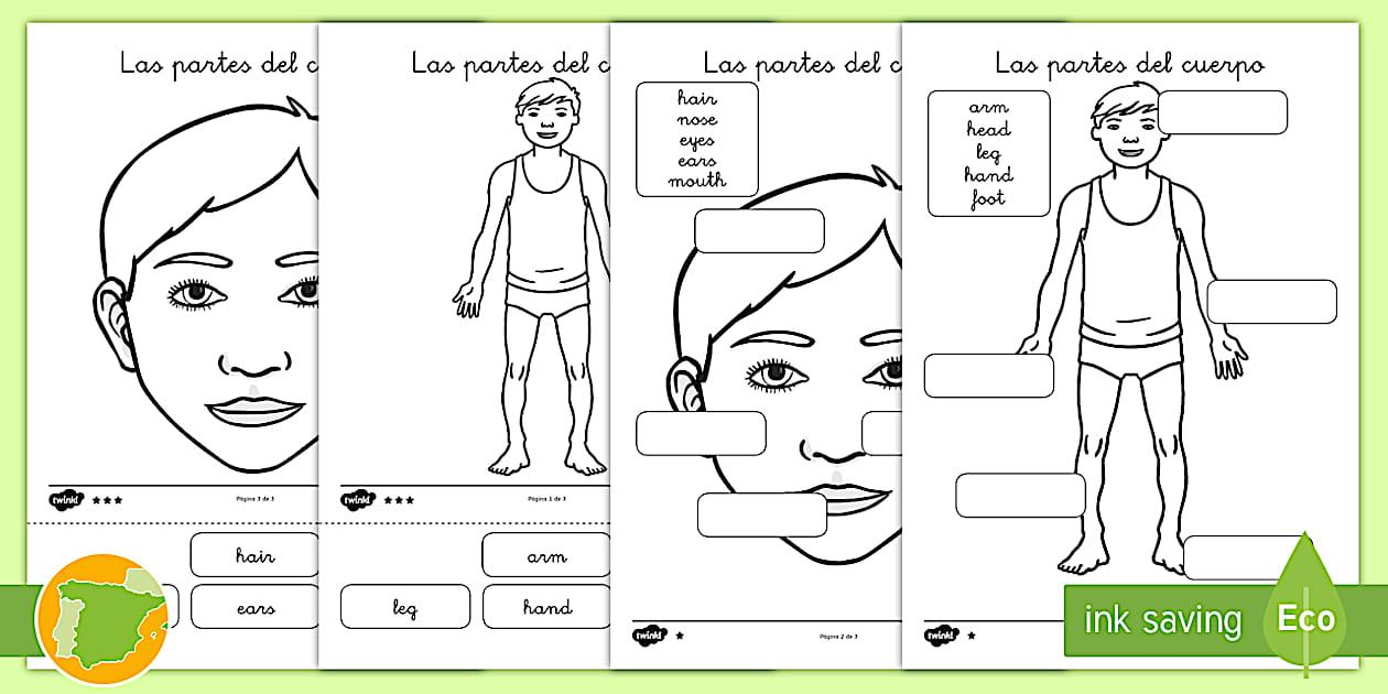 Ficha en inglés 2º primaria: Las partes del cuerpo