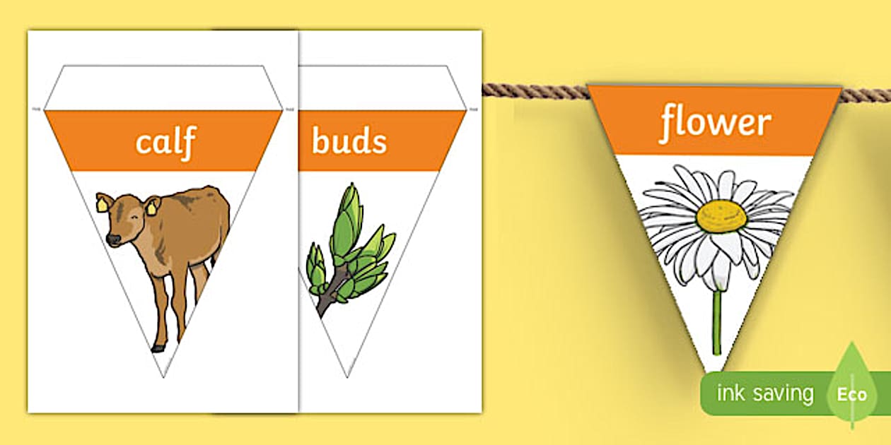 New Zealand Spring Display Bunting (teacher made) - Twinkl