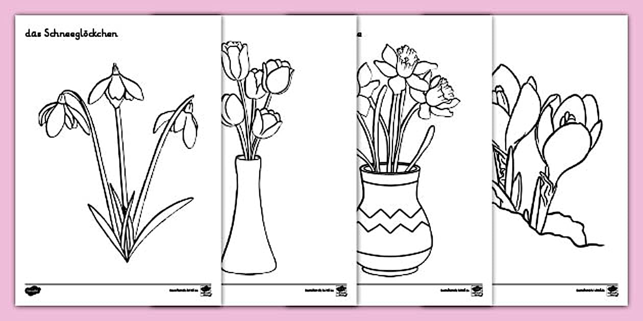 Malvorlagen Blumen - Ausmalbilder (Lehrer gemacht) - Twinkl