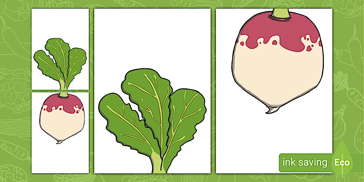 Extra Large Turnip Display Cut Out (Teacher-Made) - Twinkl