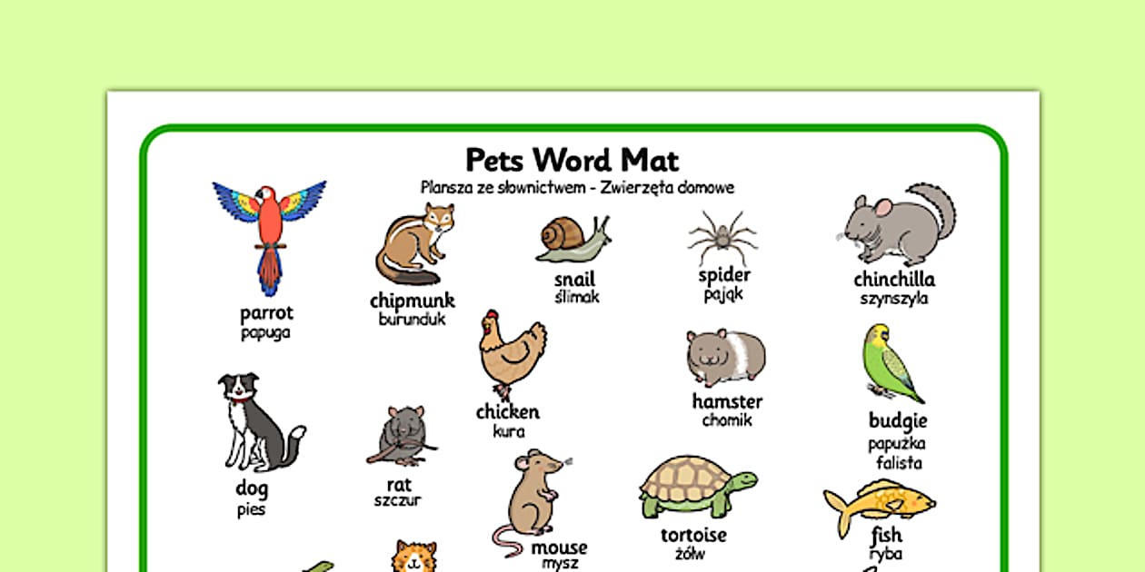 Pets Word Mat Polish Translation (Teacher-Made) - Twinkl