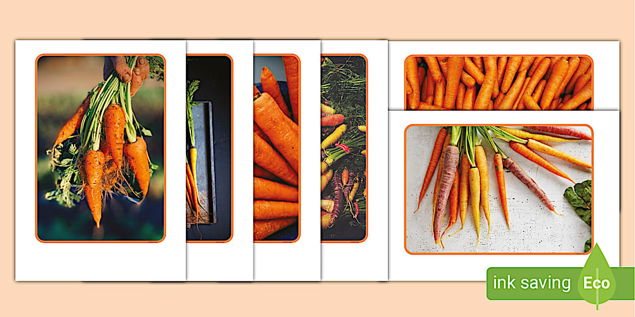 Carrots Photo Pack (teacher made) - Twinkl