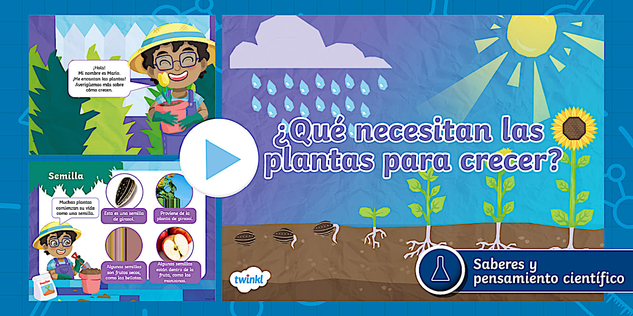 PowerPoint: ¿Qué necesitan las plantas para crecer?