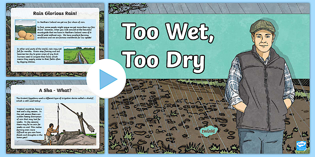 Too Wet, Too Dry PowerPoint - Down the Bann in a - Twinkl