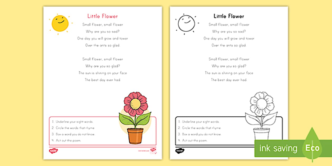 Little Flower Poem Comprehension Worksheet (teacher made)