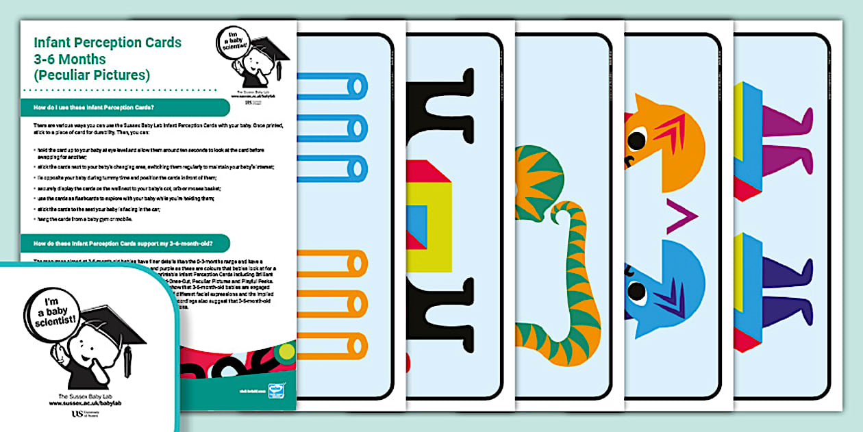 FREE! - Peculiar Pictures Infant Perception Cards - 3-6 Months
