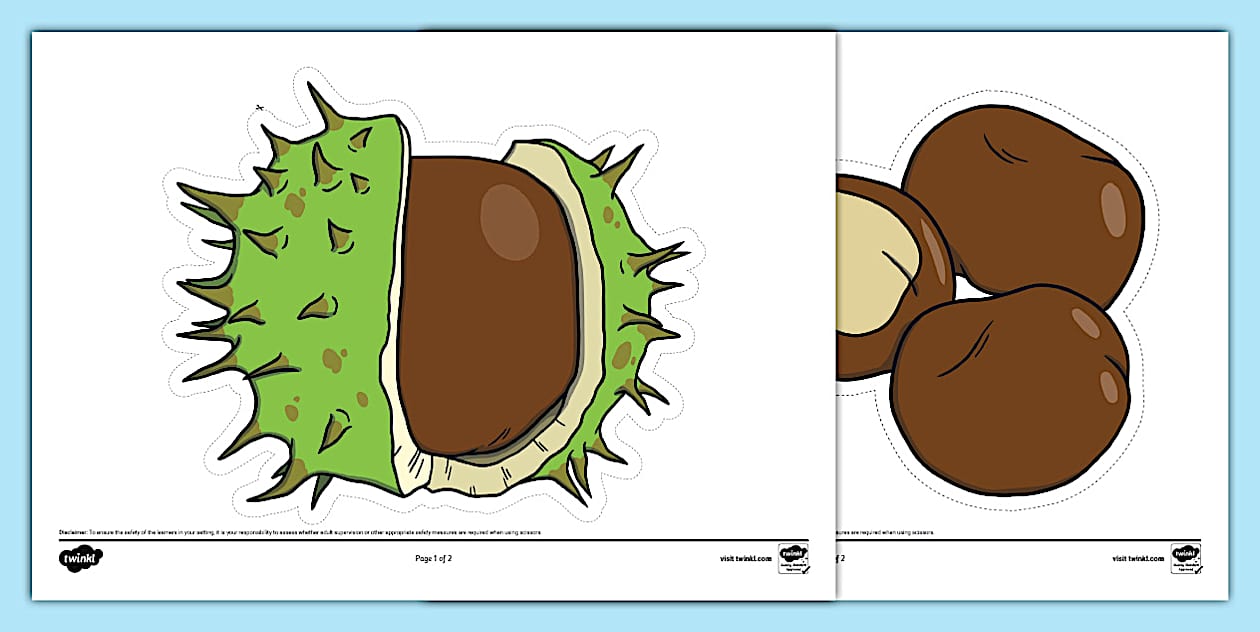 Conkers Display Cut Outs (teacher made) - Twinkl