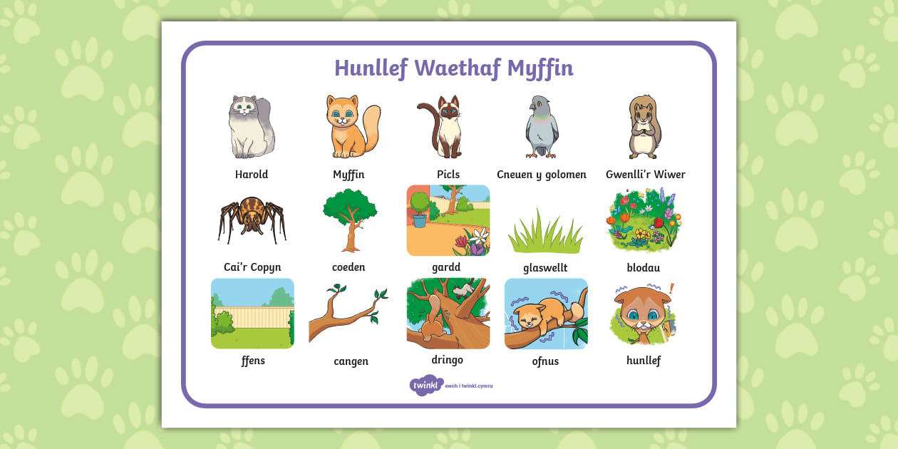 Hunllef Waethaf Myffin: Mat Geiriau