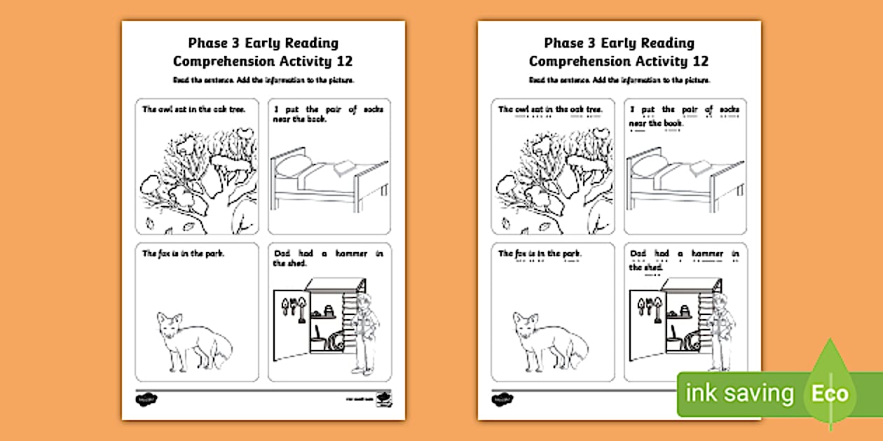 Phase 3 EYFS Reading Comprehension Activity 12 - Twinkl