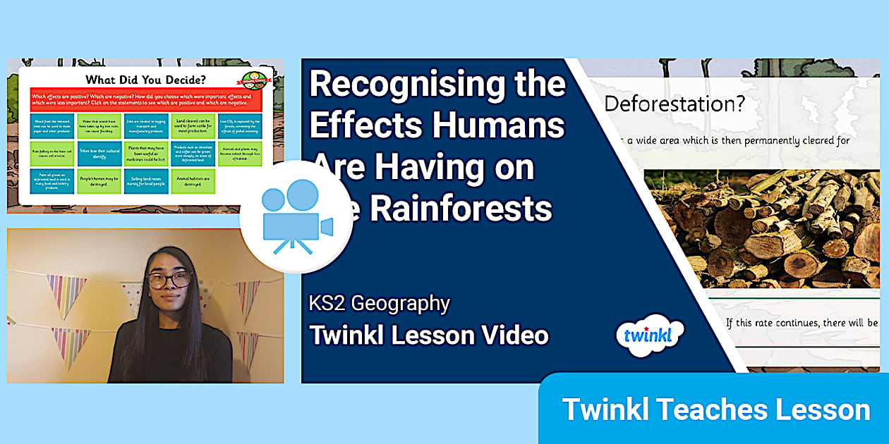 KS2 Geography:Effects Humans Are Having on Rainforests Video