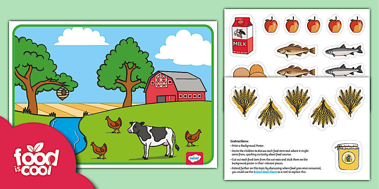 Food is Cool Food Source Cut-Out Activity (teacher made)