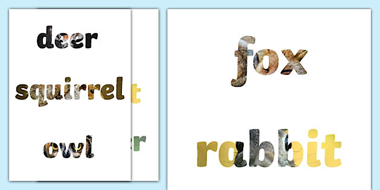 Woodland Animals Vocabulary Photo Words - Twinkl