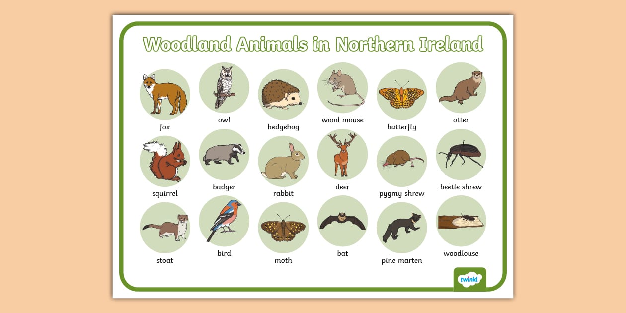 Woodland Animals in Northern Ireland Word Mat - Twinkl