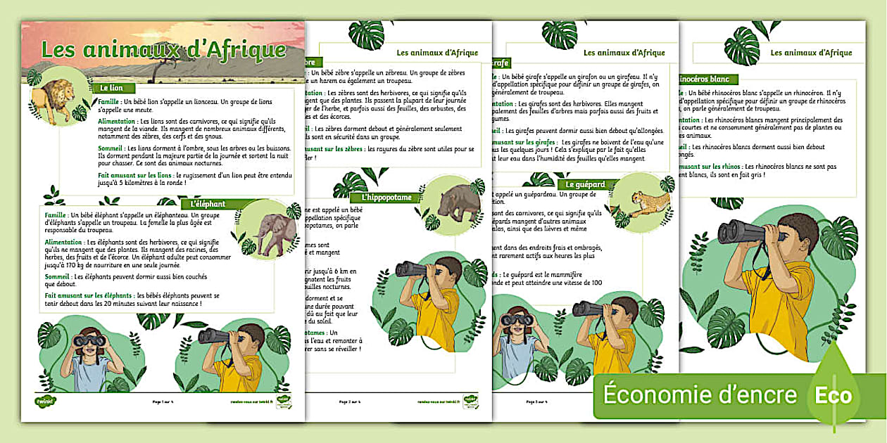 Fiche infos _Les animaux d'Afrique (teacher made) - Twinkl