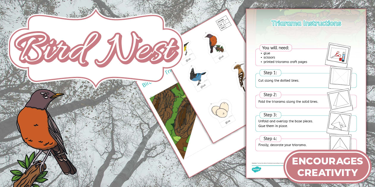 Bird Nest Triarama Craft - Twinkl Arts and Crafts