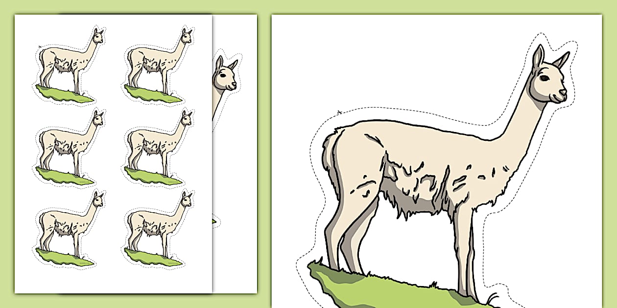 Dibujo de una vicuña | Twinkl Perú