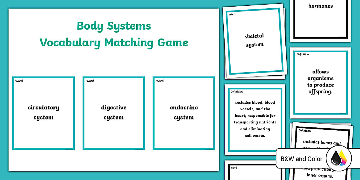 Human Body Systems Vocabulary Matching Game - Twinkl
