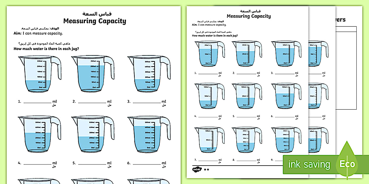 Year 2 Measure Capacity Differentiated Arabic/English