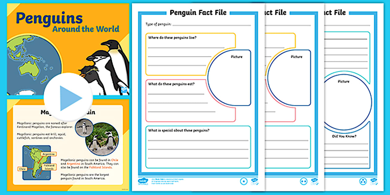 Non-Chronological Report on Penguins Writing Activity Pack