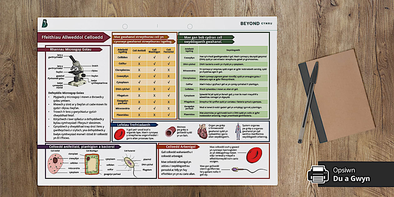 Mat Gweithgaredd Bioleg: Celloedd (Hecho por educadores)
